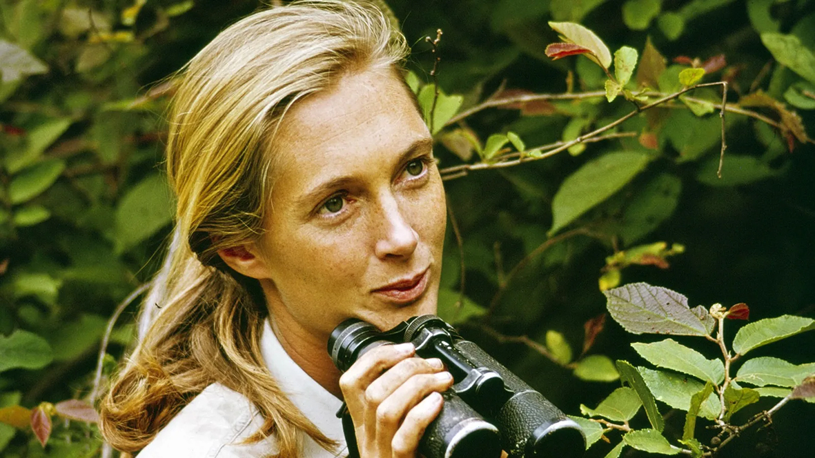 Jane Goodall, la luchadora incansable por los derechos de los animales
